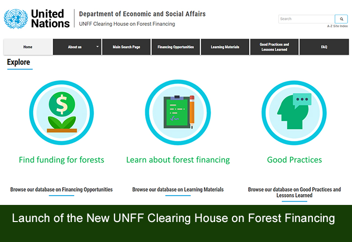 United Nations Forum on Forests