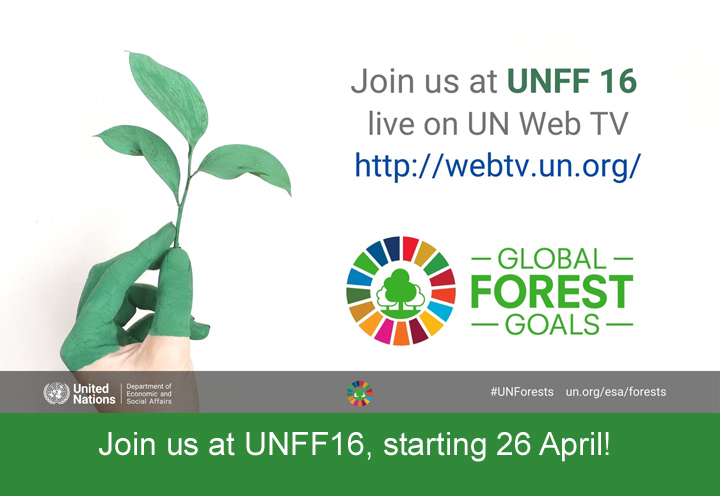 United Nations Forum on Forests