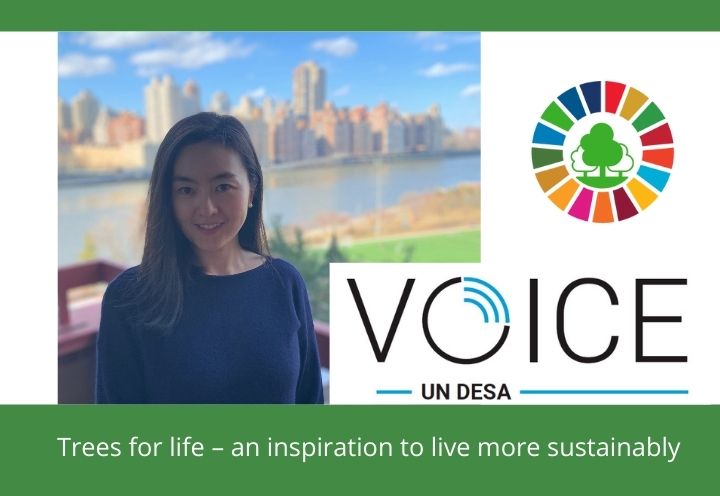 United Nations Forum on Forests