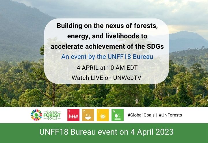 United Nations Forum on Forests