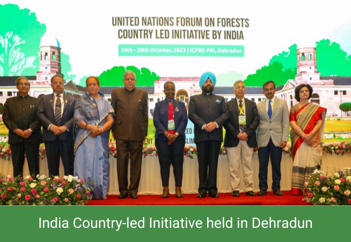 United Nations Forum on Forests